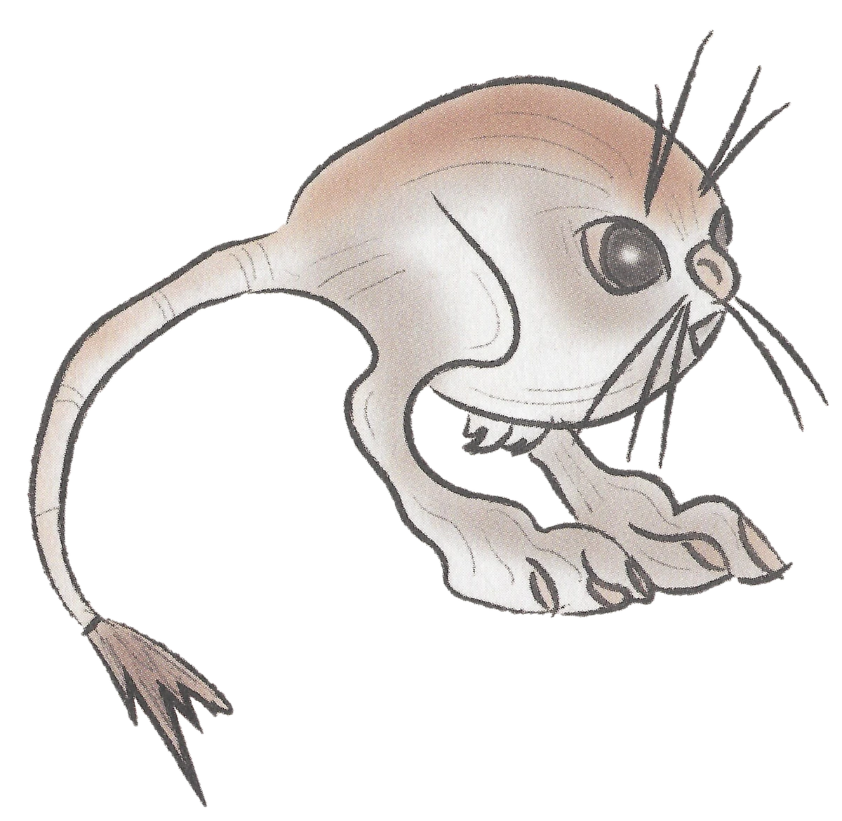 Tooke | Wookieepedia | Fandom