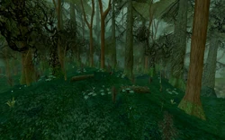 Takal Nax | Wookieepedia | Fandom