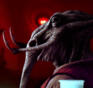 Pacithhip | Wookieepedia | Fandom