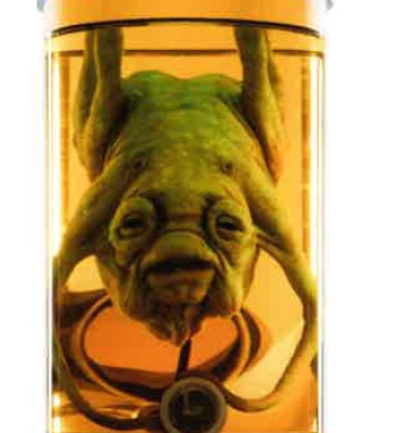 Gallusian | Star Wars Wiki | Fandom