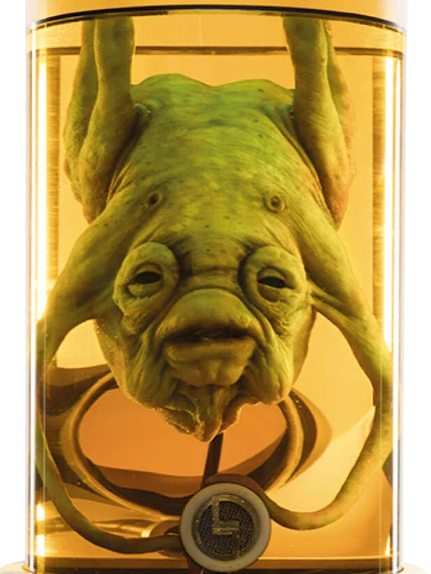 Luleo Primoc | Wookieepedia | Fandom