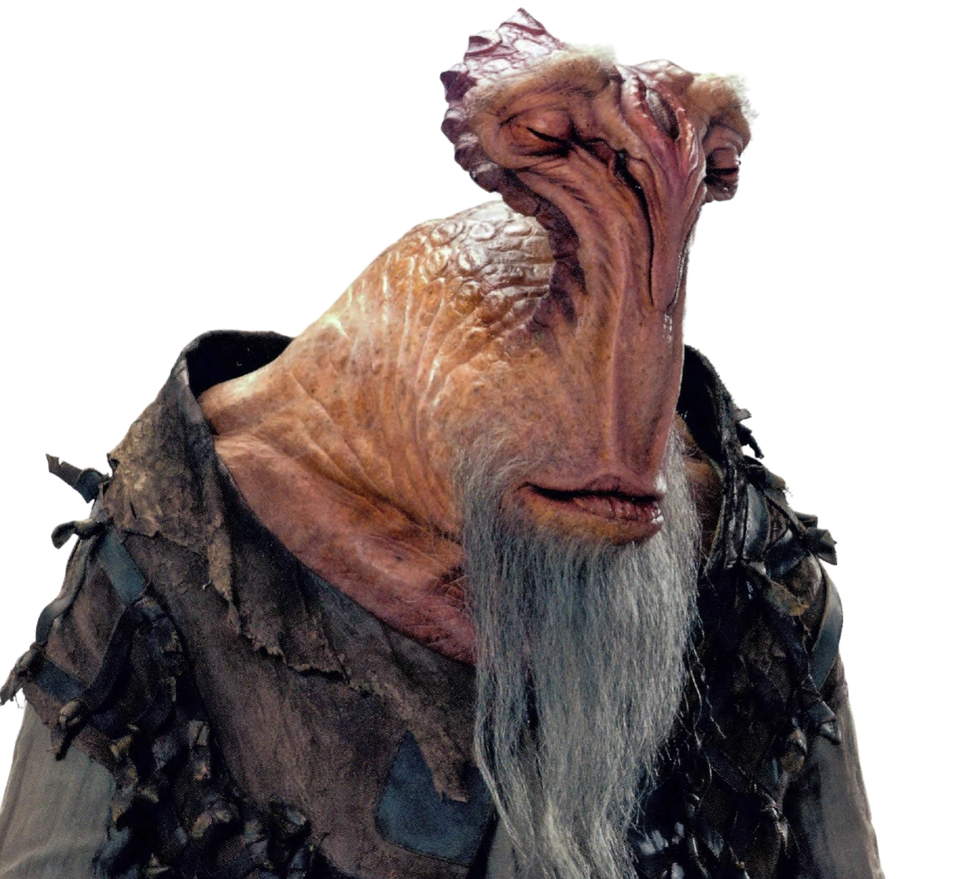 Praster Ommlen | Wookieepedia | Fandom