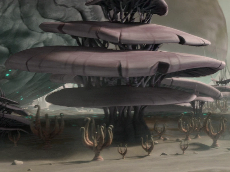 Umbrella tree | Wookieepedia | Fandom