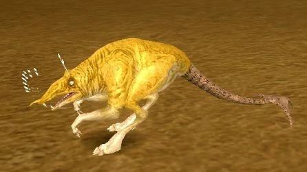 Category:Creatures of the Corellian system | Wookieepedia | Fandom