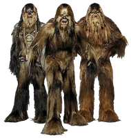 Wookiee | Wookieepedia | Fandom
