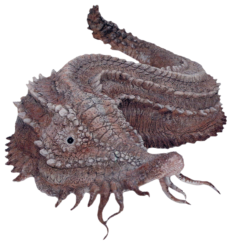 Duracrete slug | Wookieepedia | Fandom