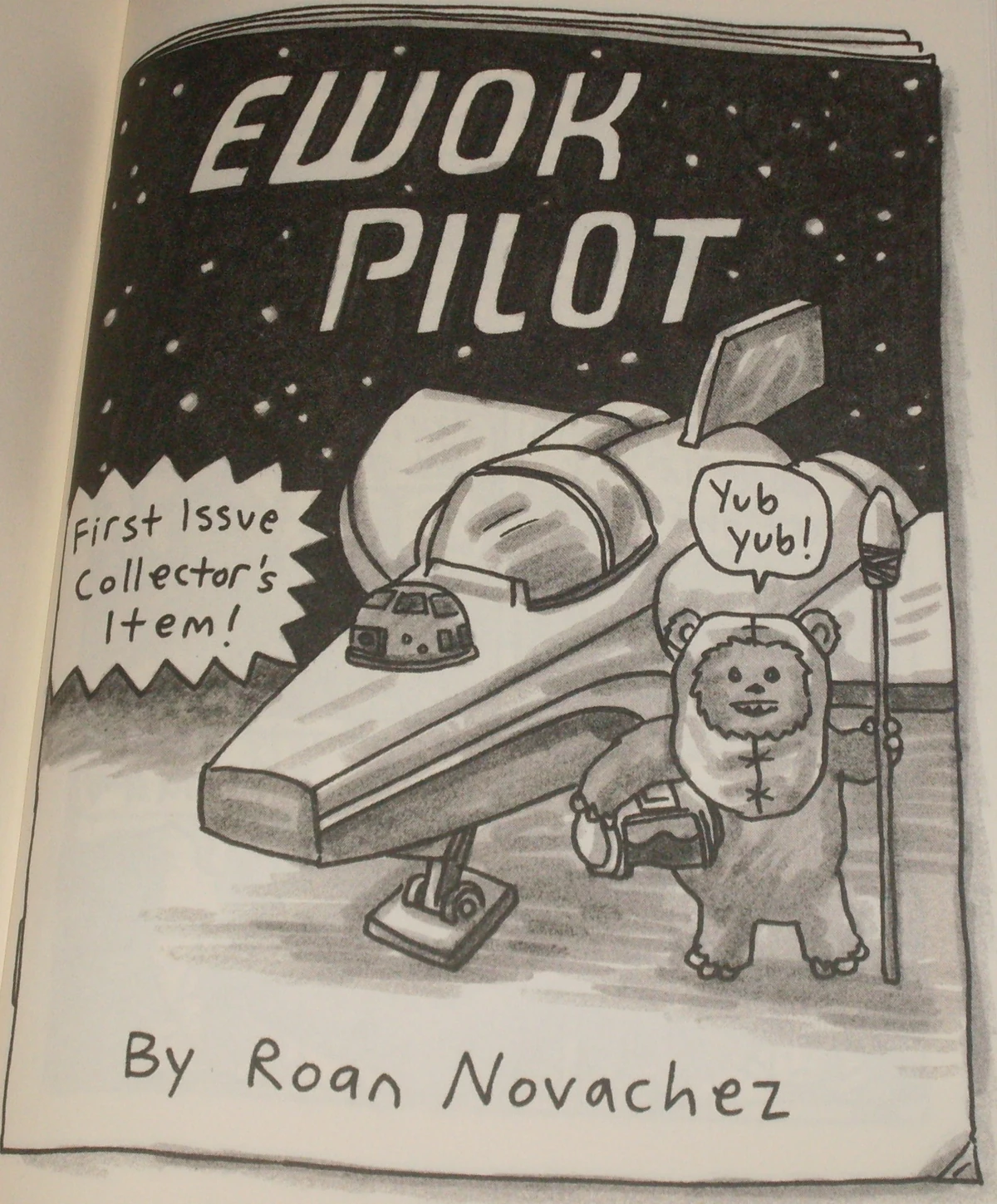 Ewok Pilot 1 | Wookieepedia | Fandom