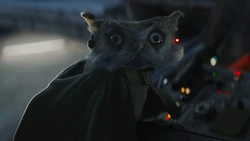 Kh'ymm | Wookieepedia | Fandom