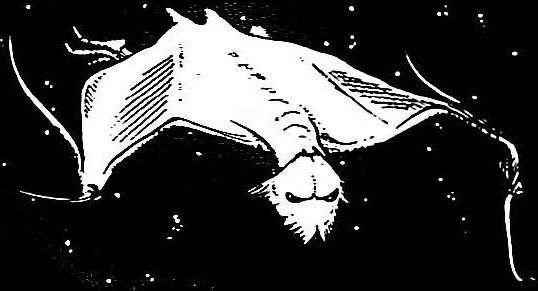 Kilit | Wookieepedia | Fandom