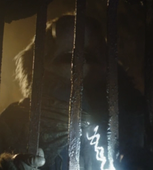 Unidentified electrocuted prisoner | Wookieepedia | Fandom