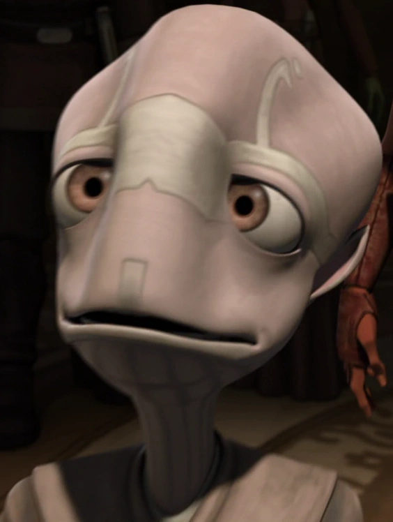 Unidentified species (Jedi Temple) | Wookieepedia | Fandom