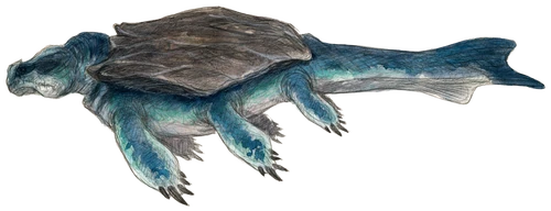 Kamoradon sea dragon | Wookieepedia | Fandom