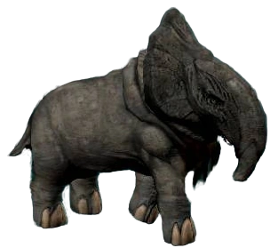 Thune (creature) | Wookieepedia | Fandom