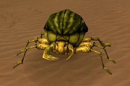 Rock beetle | Wookieepedia | Fandom