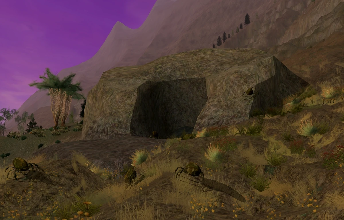 Giant Decay Mite Cave | Wookieepedia | Fandom