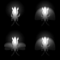 Firefly | Wookieepedia | Fandom