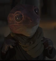 Wookieepedia | Fandom