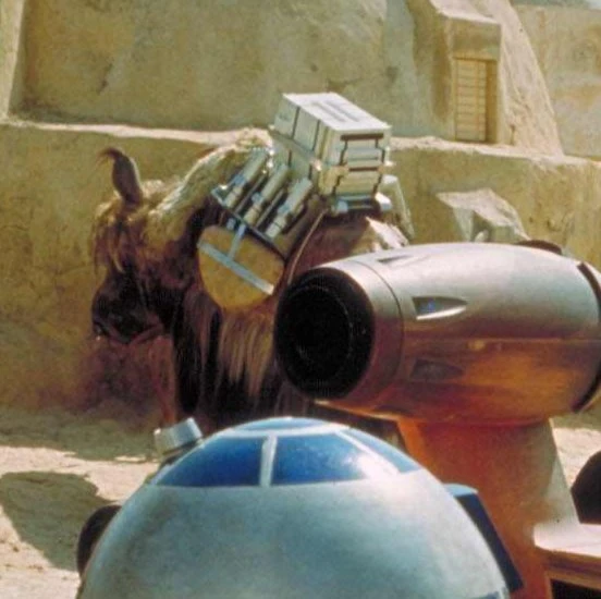 Jerba | Star Wars Wiki | Fandom