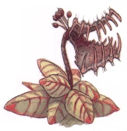 Tooke-Trap | Star Wars Wiki | Fandom