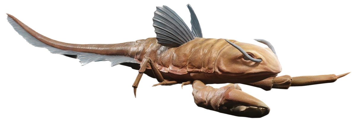 Blue-finned crayfish | Wookieepedia | Fandom