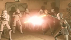 Cort | Wookieepedia | Fandom