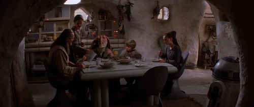 Skywalker home | Wookieepedia | Fandom