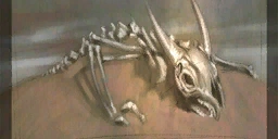 Krayt Dragon Skeleton | Wookieepedia | Fandom