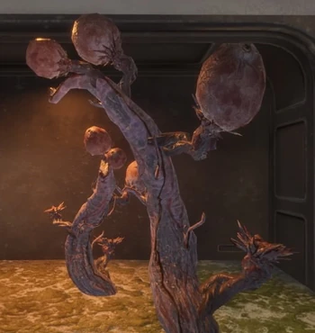 Mushling | Wookieepedia | Fandom