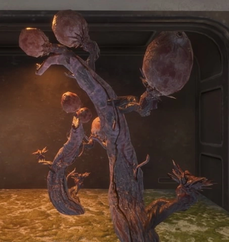 Category:Plants of Dathomir | Wookieepedia | Fandom