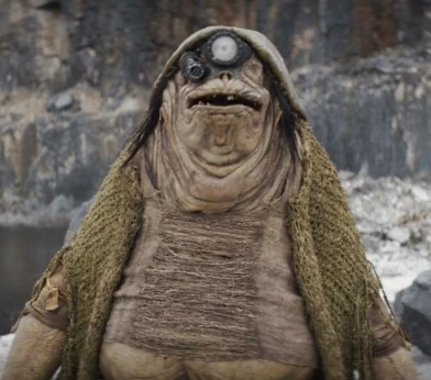 Dewi Pamular | Star Wars Wiki | Fandom