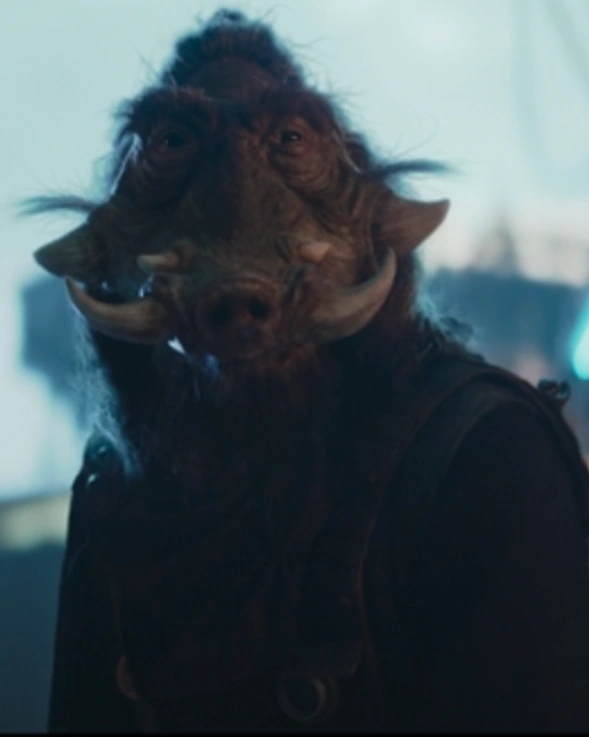 Unidentified Warthog alien | Wookieepedia | Fandom