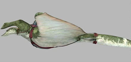 Aiwha | Star Wars Wiki | Fandom