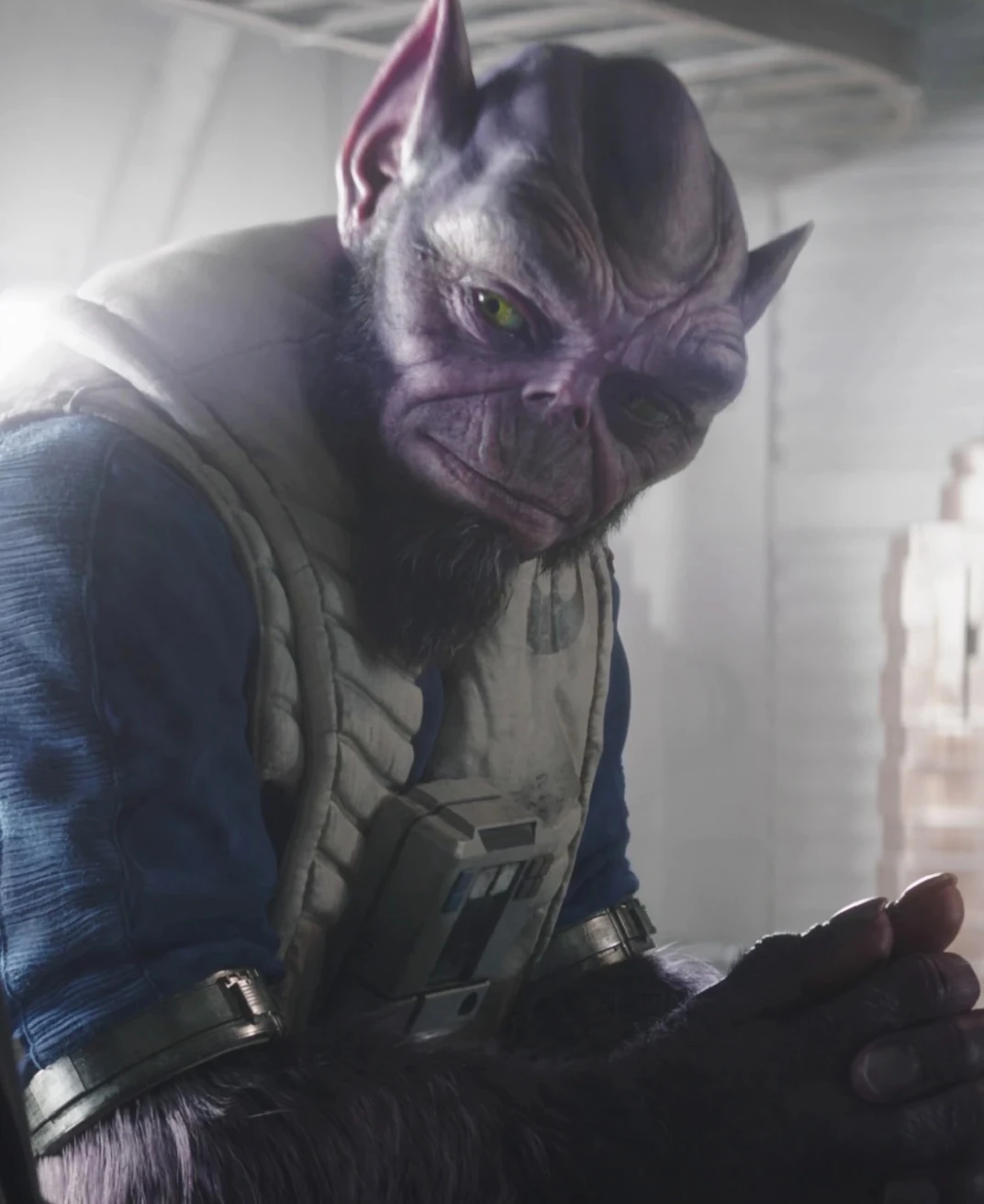 Garazeb Orrelios | Czech Star Wars Wiki | Fandom