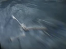 Ostar | Wookieepedia | Fandom