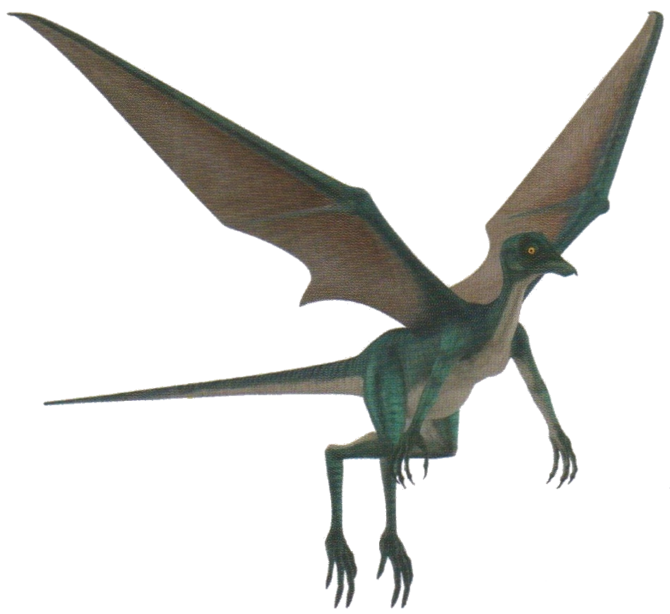 Bogwing | Wookieepedia | Fandom