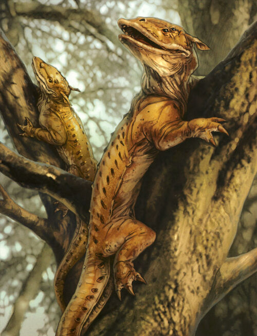 Ysalamiri | Wookieepedia | Fandom