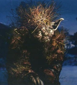 Wack | Wookieepedia | Fandom