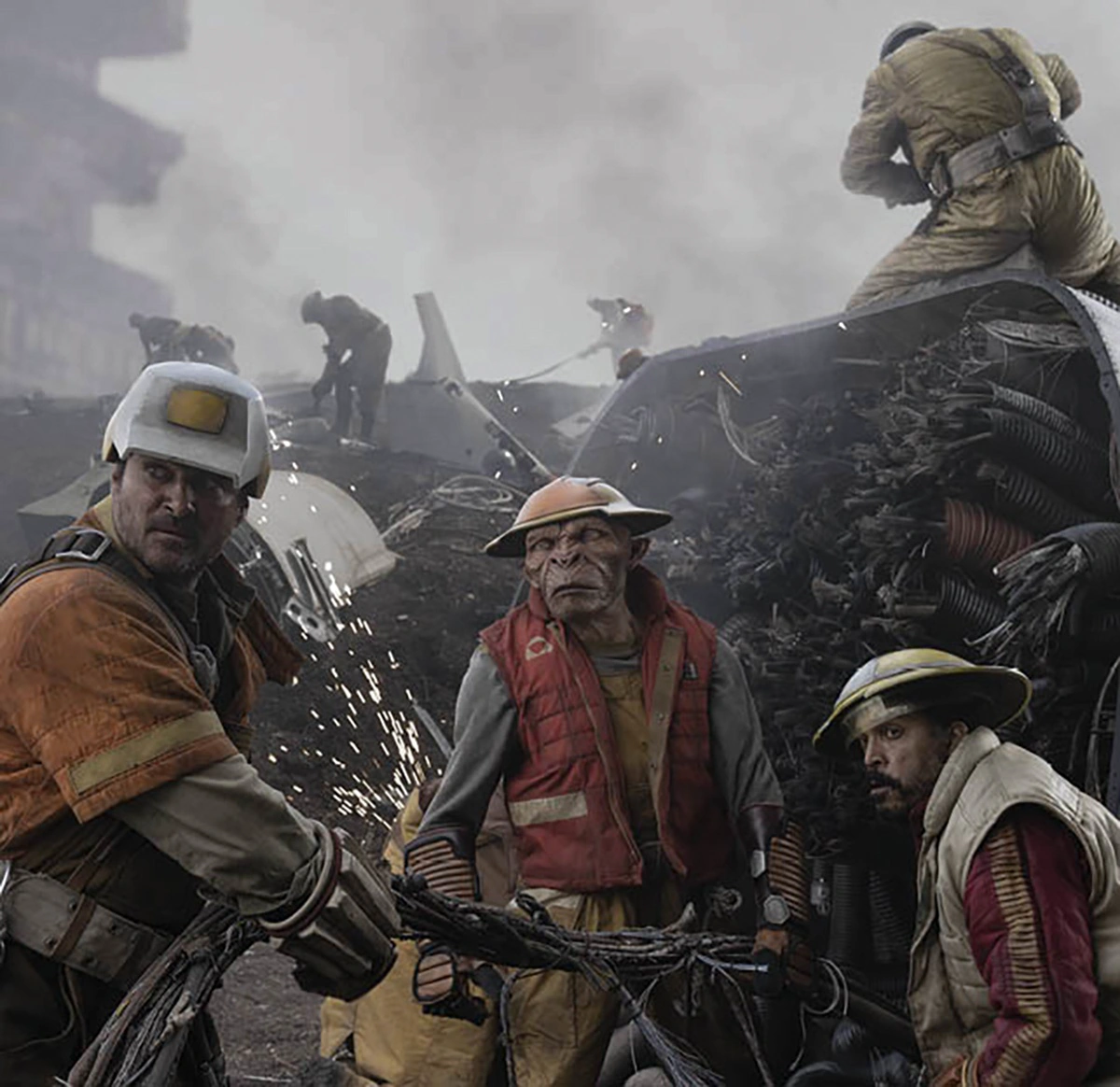 Grappler (profession) | Wookieepedia | Fandom