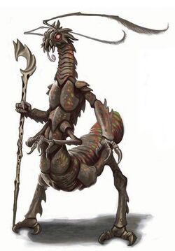 Killik | Star Wars Wiki | Fandom