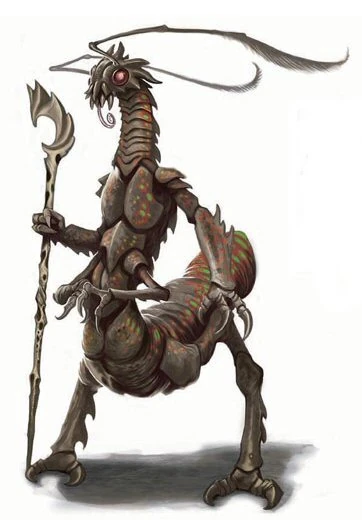 Killik | Star Wars Wiki | Fandom