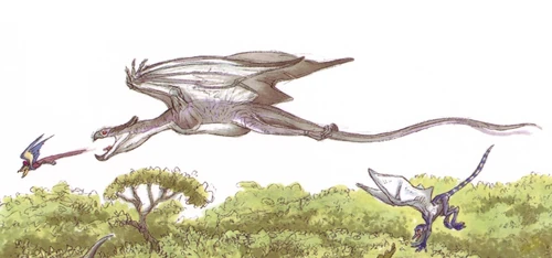 Accipiptero | Wookieepedia | Fandom