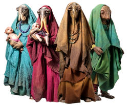 Pasaana | Wookieepedia | Fandom