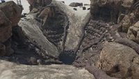 Sarlacc | Wookieepedia | Fandom