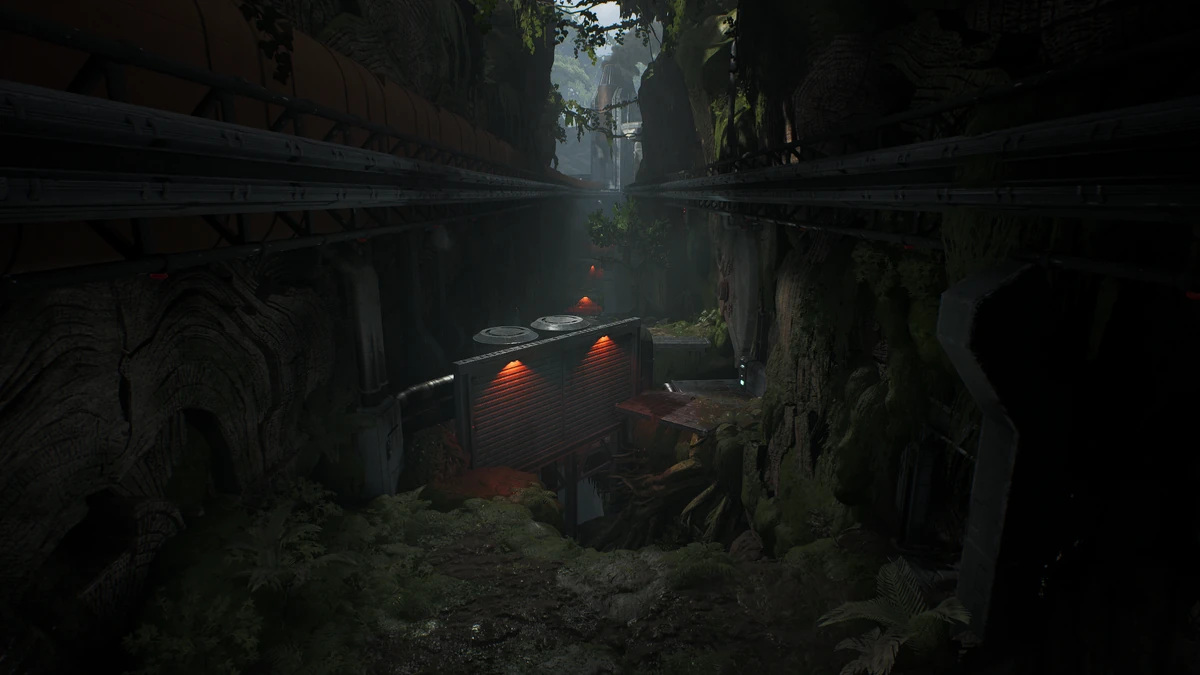 Forest Trench | Wookieepedia | Fandom