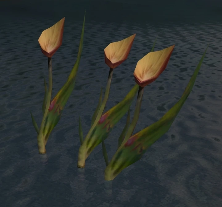 Sapflower | Wookieepedia | Fandom