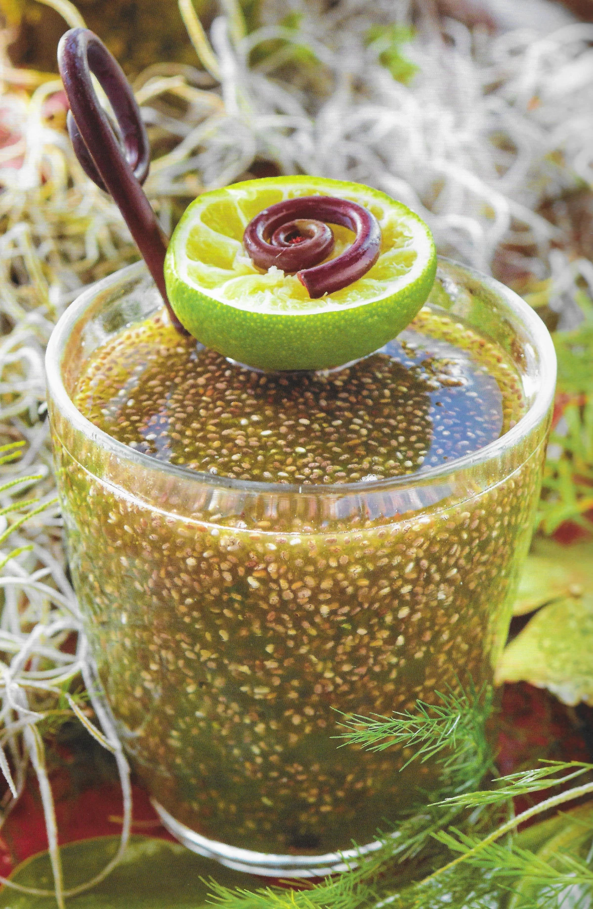 Category:Gungan food | Wookieepedia | Fandom