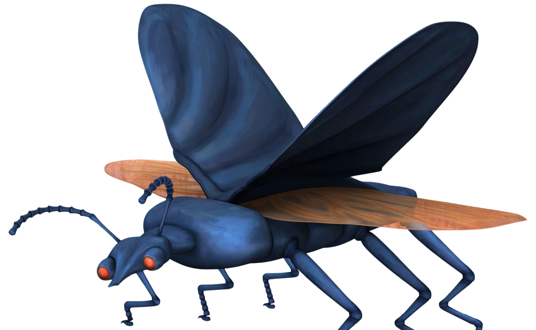 Slug-beetle | Wookieepedia | Fandom