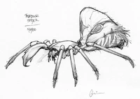 Nightspider | Wookieepedia | Fandom