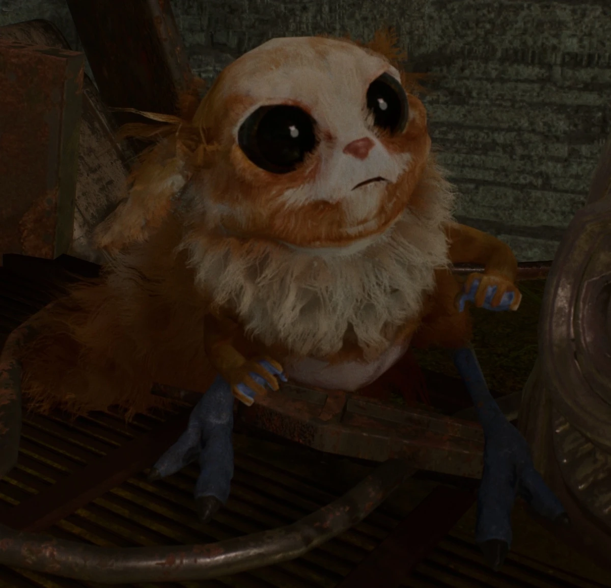 Bogling stowaway | Wookieepedia | Fandom