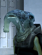 Shasa | Wookieepedia | Fandom